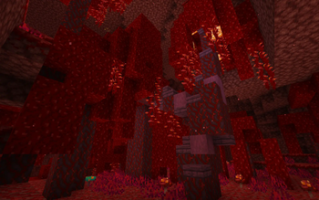 MNS - Moog's Nether Structures - 渲染图